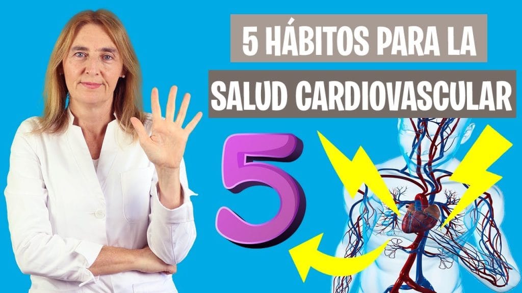 Cómo Abordar la Importancia de una Buena Salud Cardiovascular: Guía ...